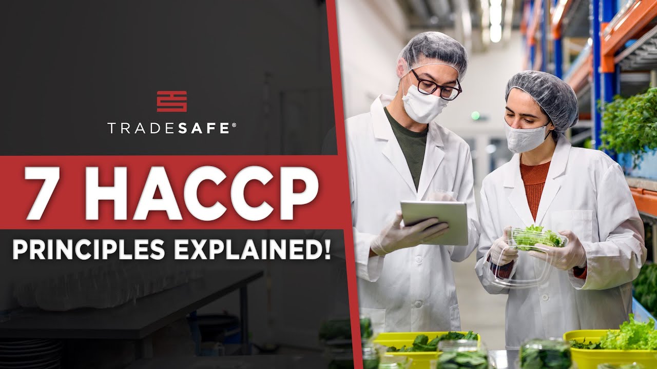 Understanding HACCP: The 7 Principles of Food Safety | Galaxy.ai