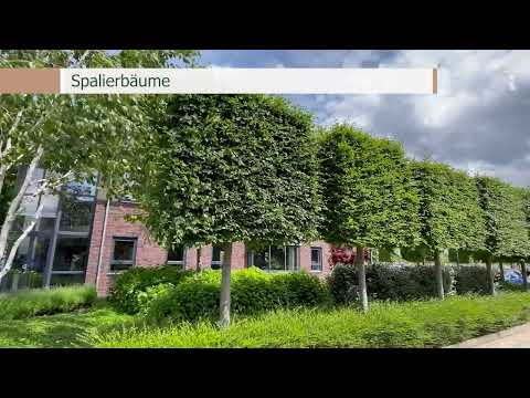 Spalierbäume kaufen? 🌳 Entdecken Sie die verschiedenen Spalierbäume