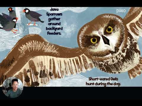 Tūtū and Me Storytime: "Birds in Hawaiʻi” Illustrated by Jing Jing Tsong