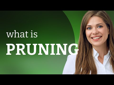 Pruning — meaning of PRUNING