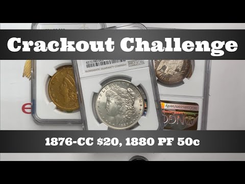 Crackout Challenge - 1876-CC $20, 1880 PF 50c