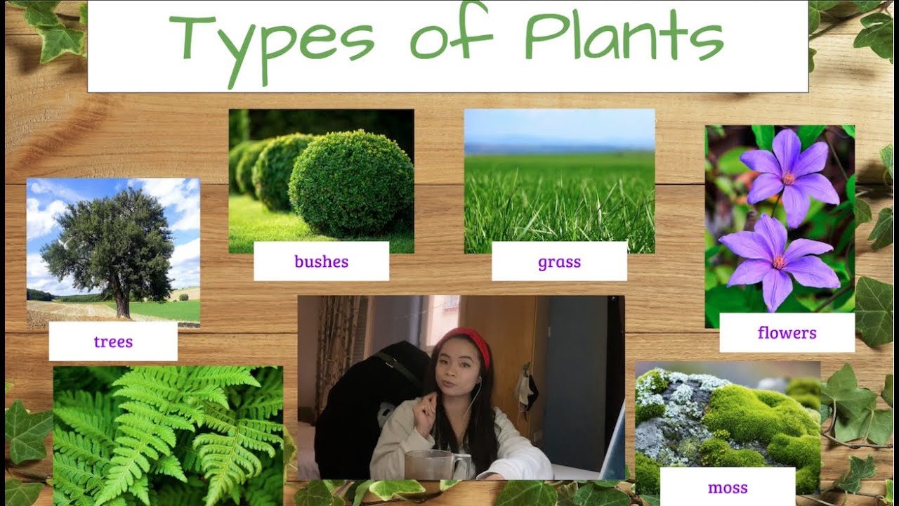 Natural Science 2: Unit 4 - 