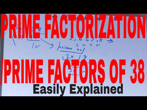 Prime factorization of 38|Prime factors of 38|Write prime factorization of 38|38 prime factors
