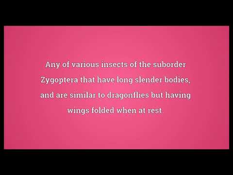Damselfly Meaning
