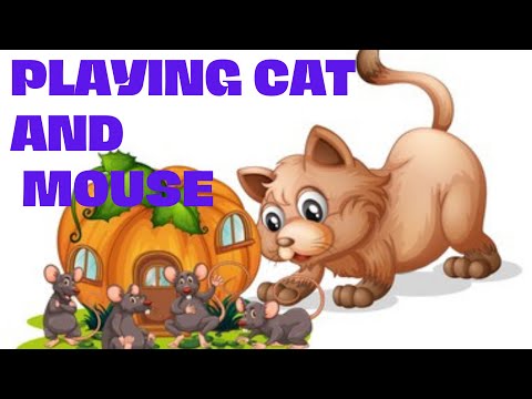 #shorts#idiom //PLAYING CAT AND MOUSE// π & π