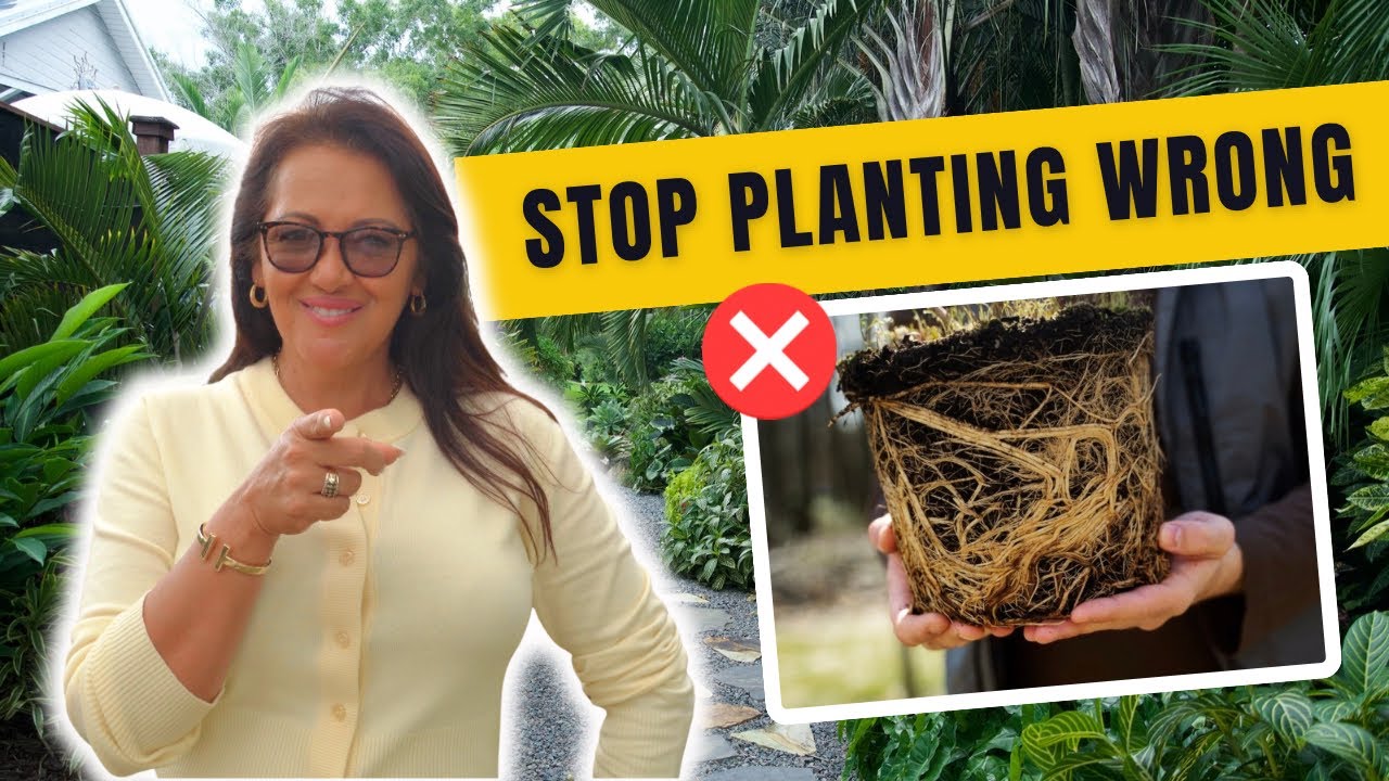 The Right Way to Plant Plants (Step by Step Guide)