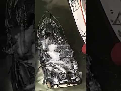 Boat fire in Biscayne Bay, Miami injures 2 people