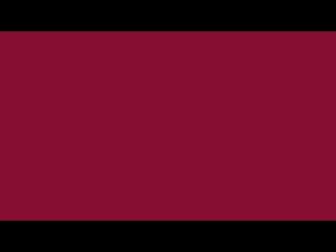 Pantone 207 1 Hour 4K