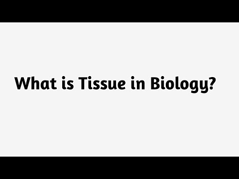 What is Tissue in Biology ?