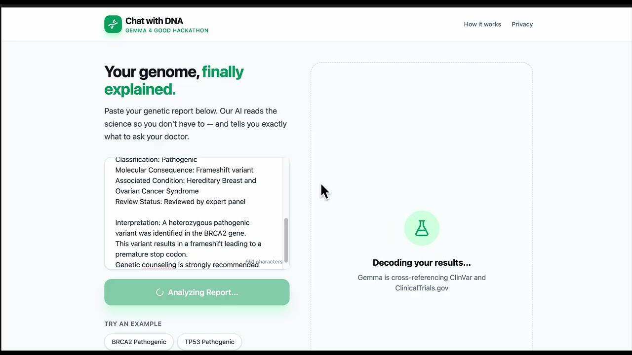 Kaggle Hackathon ( gemma )