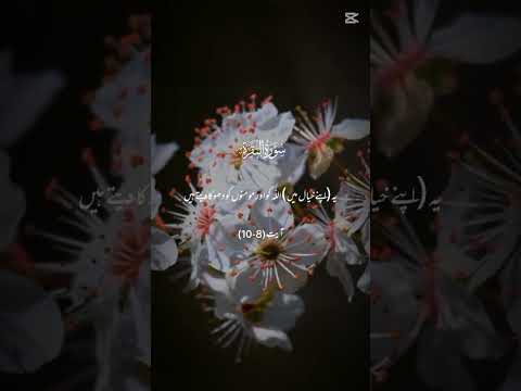 Quran Recitation With Urdu Translation