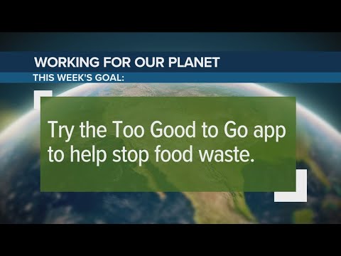 Try the 'Too Good To Go' app to help prevent food waste | Working for Our Planet
