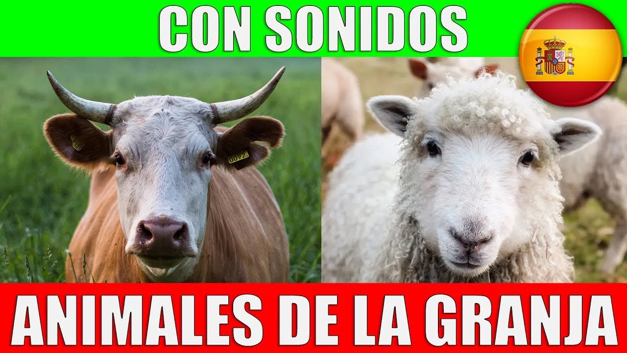ANIMALES DE LA GRANJA para Niños   Sonidos y Nombres en Español