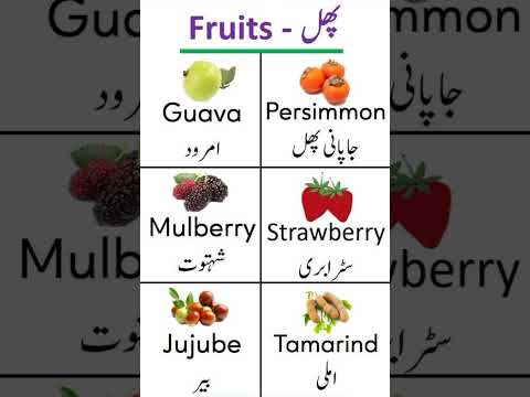 Fruits-Names in English with Urdu meaning vocabularies l#tanveer