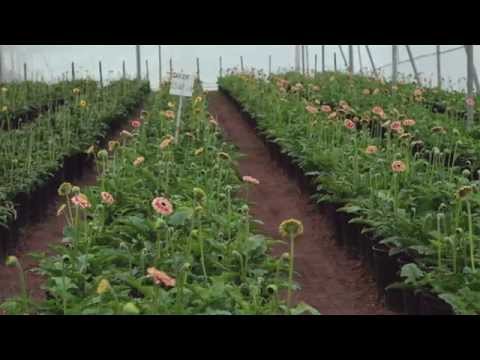 Meet Farmer Jose