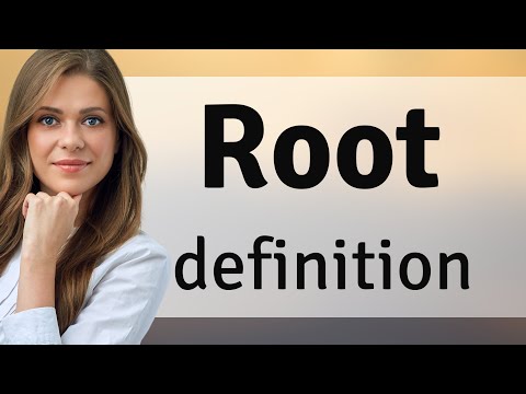 Root • ROOT meaning