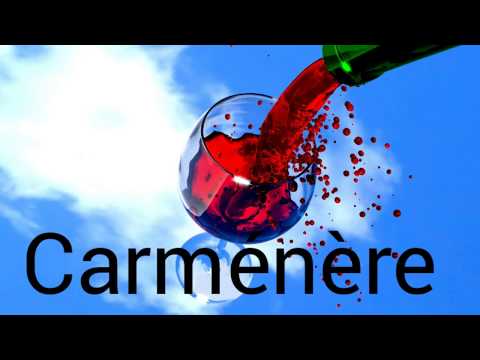 How to pronounce carmenere. Wine terminology.