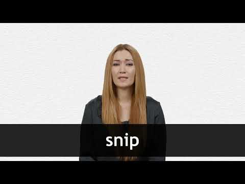 SNIP definition and meaning | Collins English Dictionary