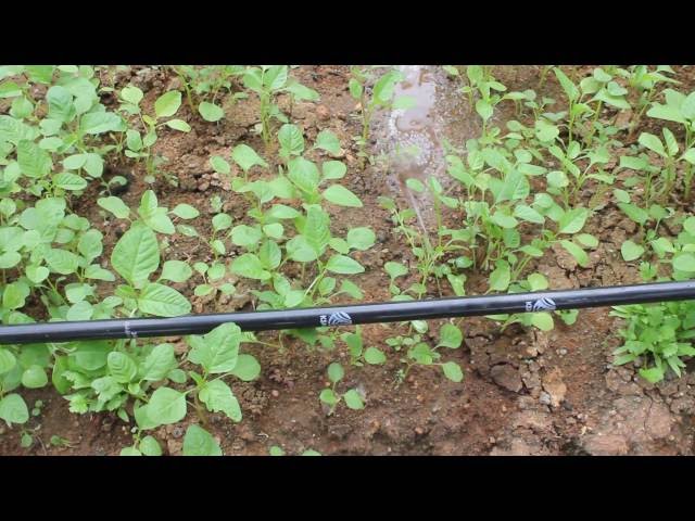 Drip Irrigation Tubes - Garden Irrigation Tubes Manufacturer from ...