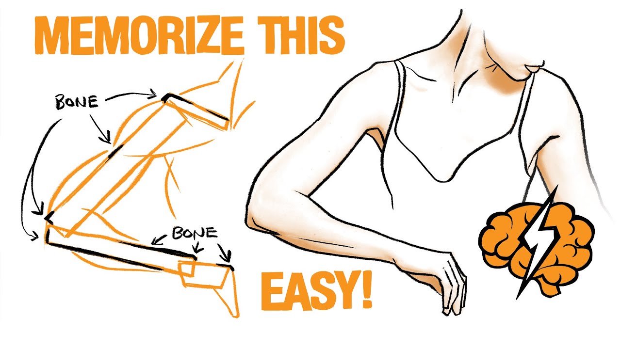 Drawing a Female Arm - Cognitive Drawing