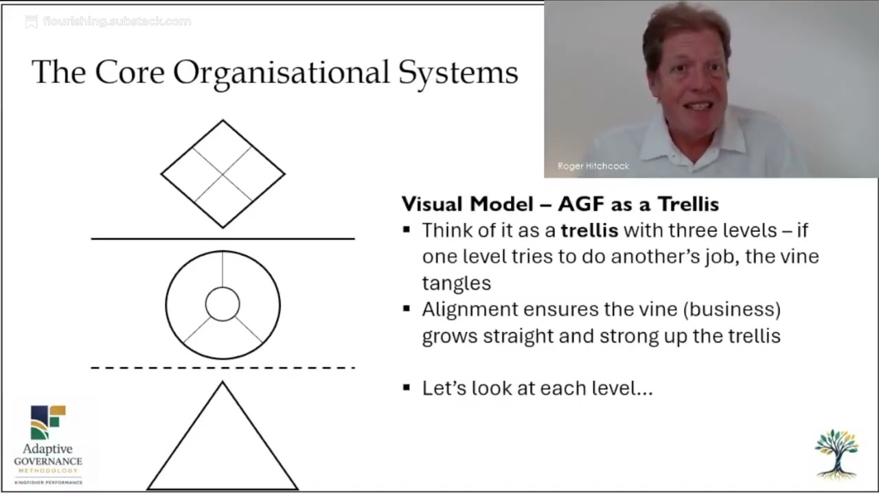 The Adaptive Governance Framework – The Three Organising Systems