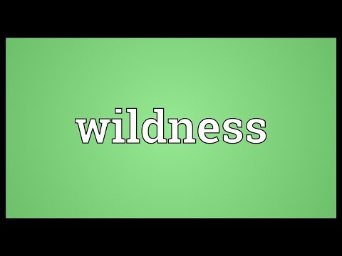 Wildness Meaning