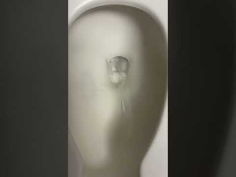 American Standard Madera Toilet At Books-A-Million