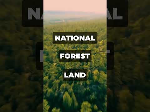 20 Acres of Mountain Land for Sale in New Mexico bordering National Forest