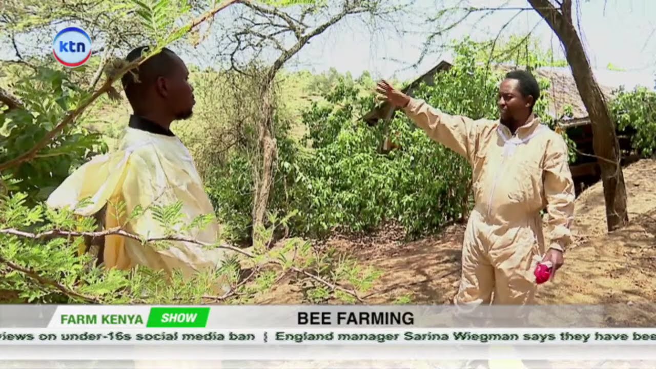 Bee Farming: complete step-by-step guide || Farm Kenya