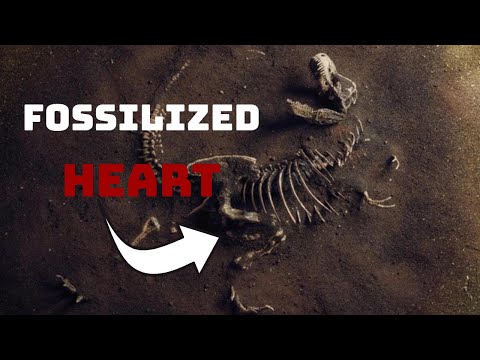 Extinction isn’t always the end