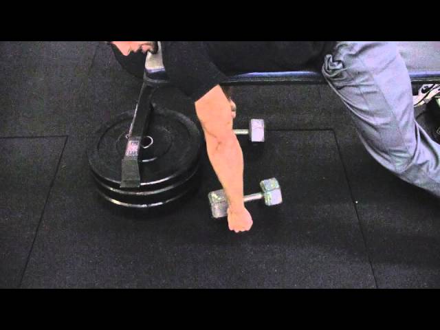 How to Do the Dumbbell Seal Row | Ntaifitness Gym Equipment - Fitness ...