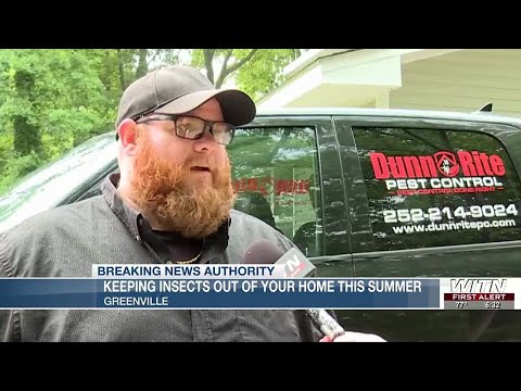 Keeping Insects Out of Your Home This Summer