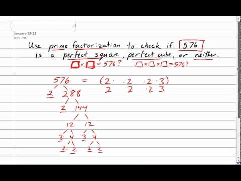 Prime Factorization for Perfect Squares and Cubes
