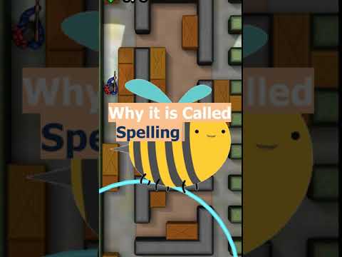Why is it Called Spelling Bee? (Simply Explained)