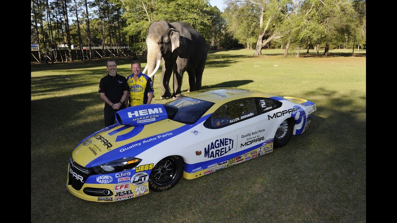 Mopar Turns Dodge Dart into Pro Stock Racer
