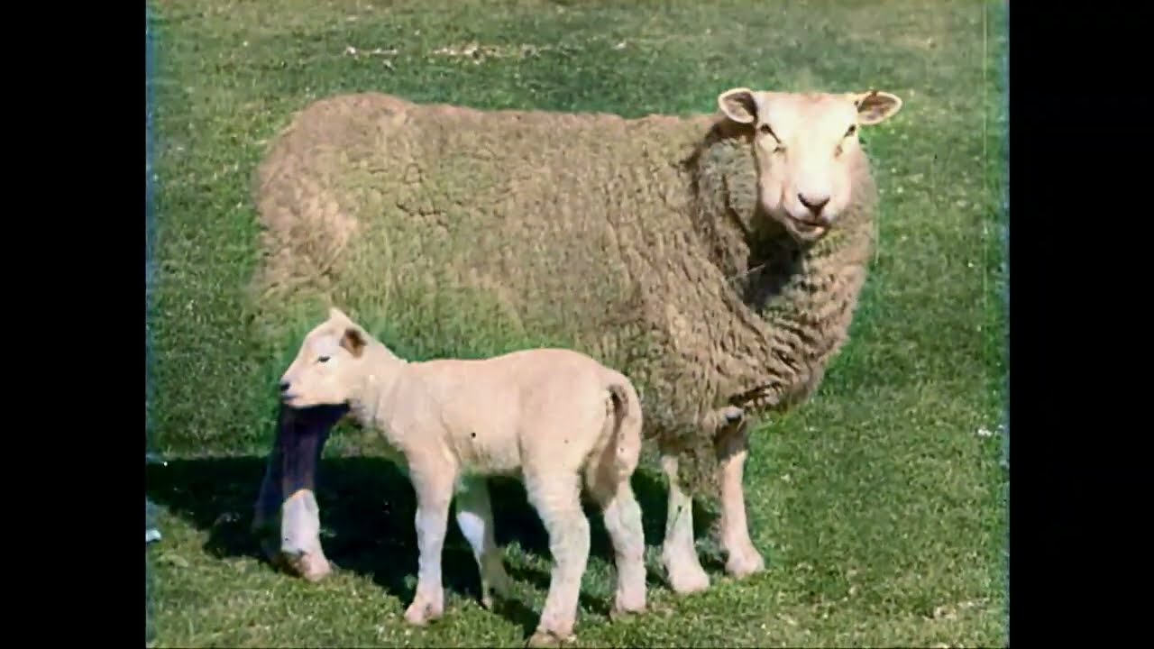 Dutch History: The Brutal Winter of 1941- 1942 (1942)