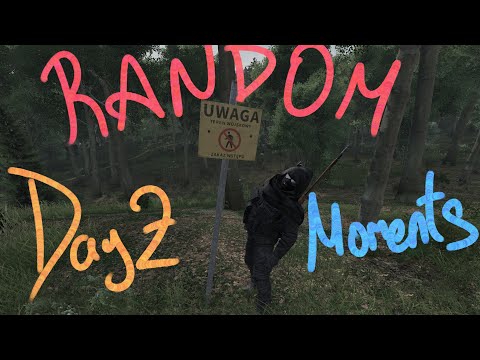 Steam Community :: Video :: DayZ Random Funny Moments (ZombieToast)