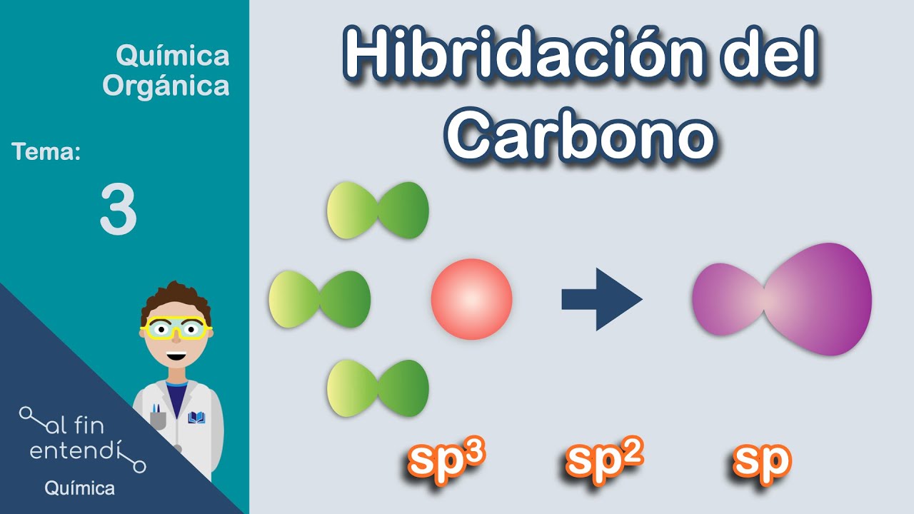 What is hybridization and why does it occur?