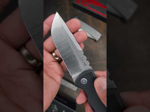 Chaves Redencion 229 with Lee Williams Kickstop | Black G10 and M390 Drop Point #shortsfeed #shorts