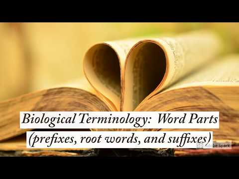 Biological Terminology: Latin & Greek Word Parts