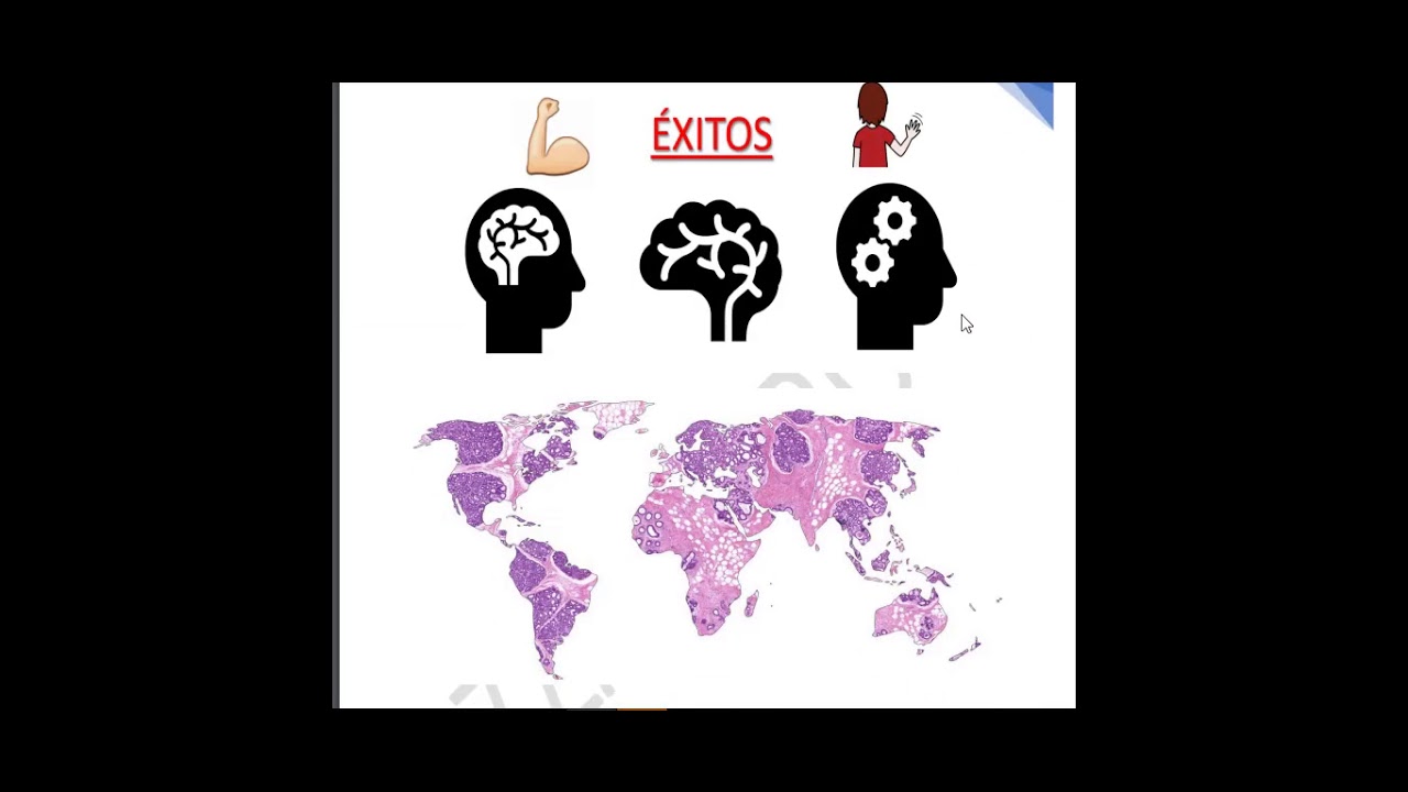 VENTA DE APUNTES HISTOLÓGICOS EN PDF (leer descripción)