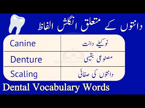 Dental Vocabulary With Urdu and Hindi Meaning | Dental Vocabulary For Daily Use | Muntaha English