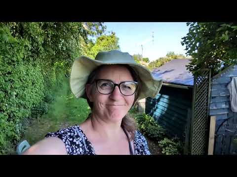 May plot tour 2025