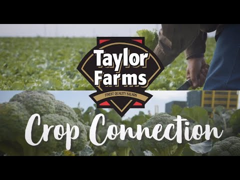 TF 2020 CROP CONNECTION JULY "Touchless Convenience"