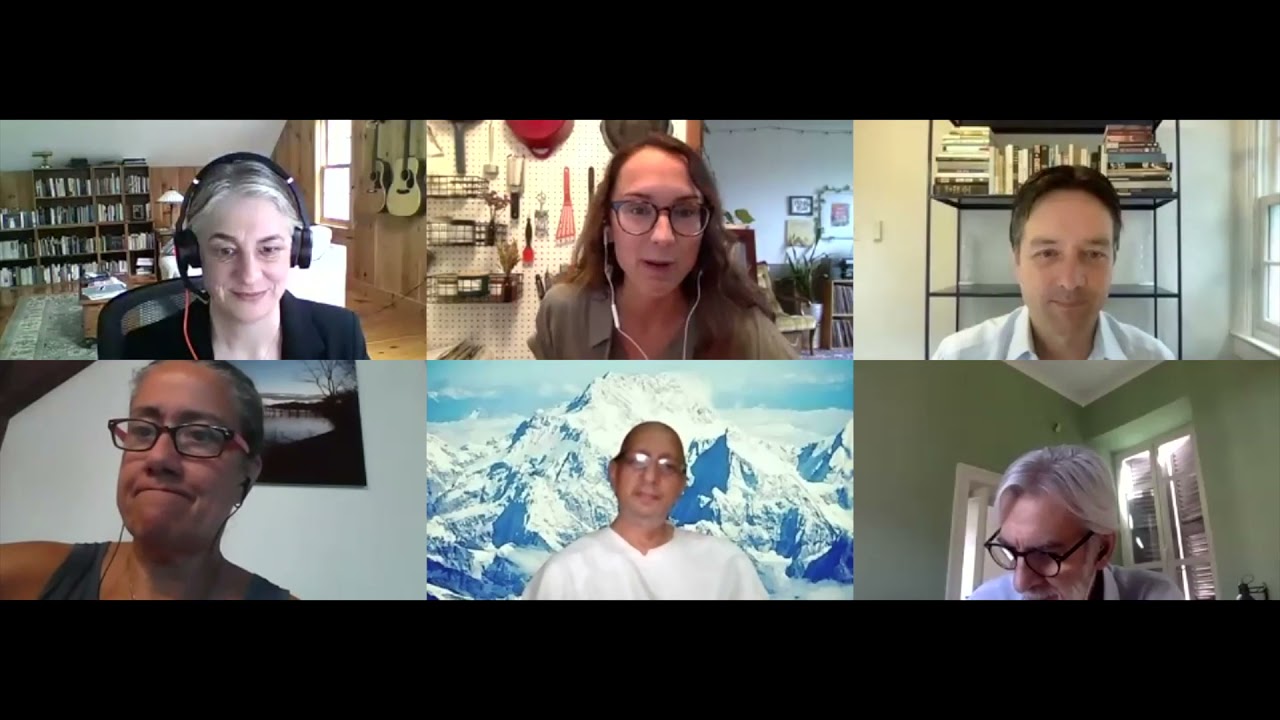 Combatting Climate Disinformation on Social Media