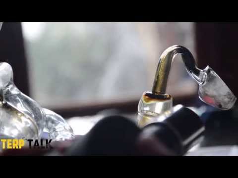 The Terp Talk | Rosin Tech Walkthrough