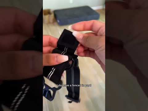 AirTag dog collar?