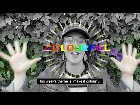 Let's do colourful coding | Digital Making at Home