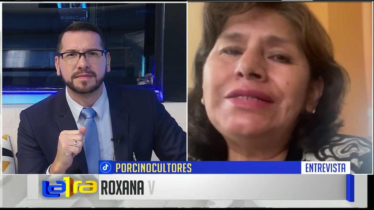 “El precio de cerdo vivo bajo, pero en los mercados no ...