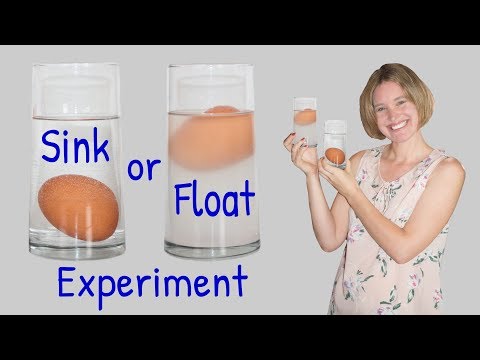 Sink or Float? Egg in Salt Wate…: English ESL video lessons